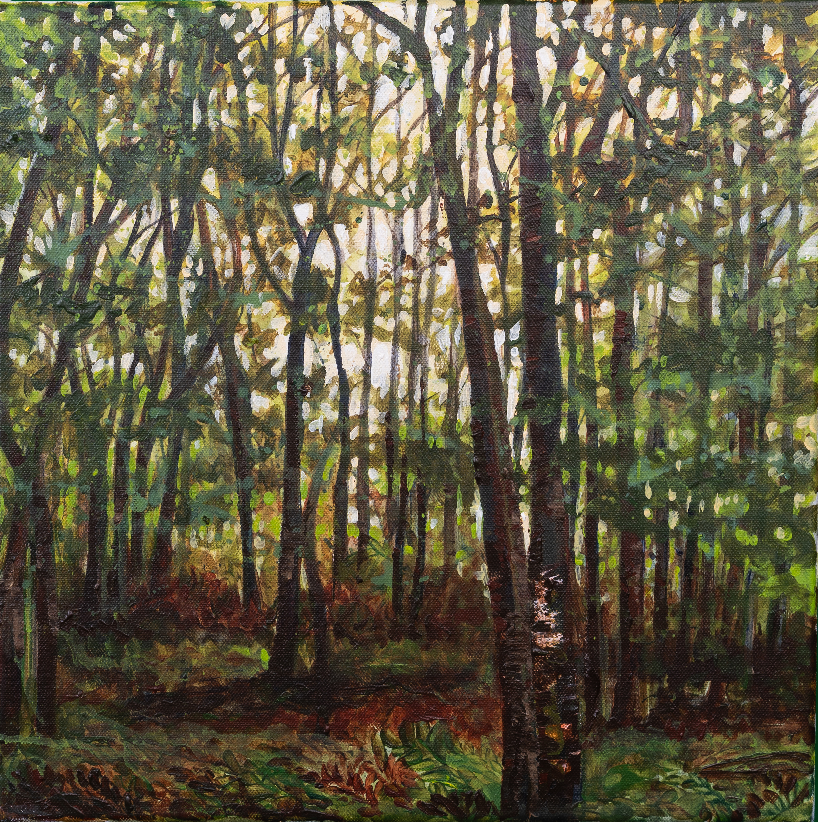 Lorraine Brett Gallery of works – Lorraine Brett Artist